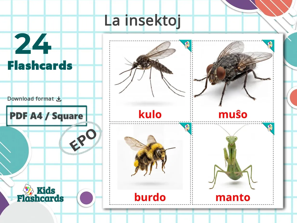 24 Printable Insects Flashcards in Esperanto (Free PDF)