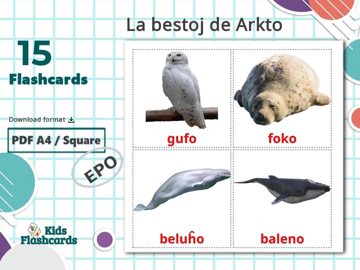 15 Printable Arctic animals Flashcards in Esperanto (Free PDF)