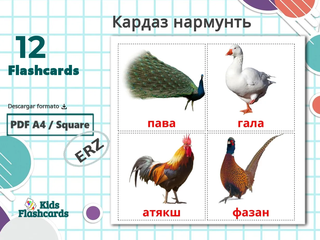 12 Tarjetas de Aprendizaje de Aves de granja GRATIS en PDF | Imágenes ...