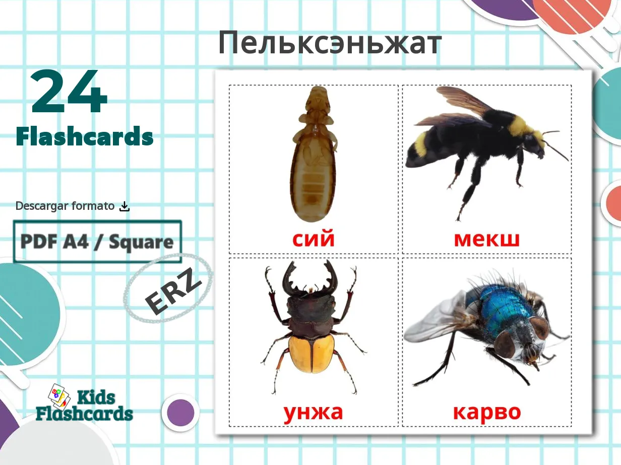 24 Tarjetas de Aprendizaje de Insectos GRATIS en PDF | Imágenes en Erzya