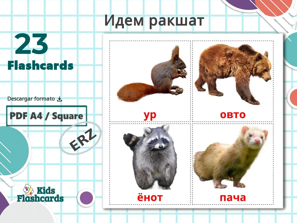 23 Tarjetas de Aprendizaje de Animales del Bosque GRATIS en PDF ...