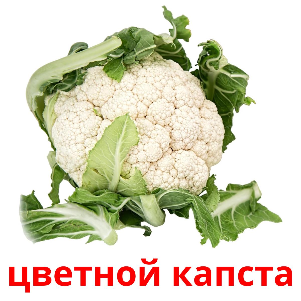 30 Printable Vegetables Flashcards in Erzya (Free PDF)
