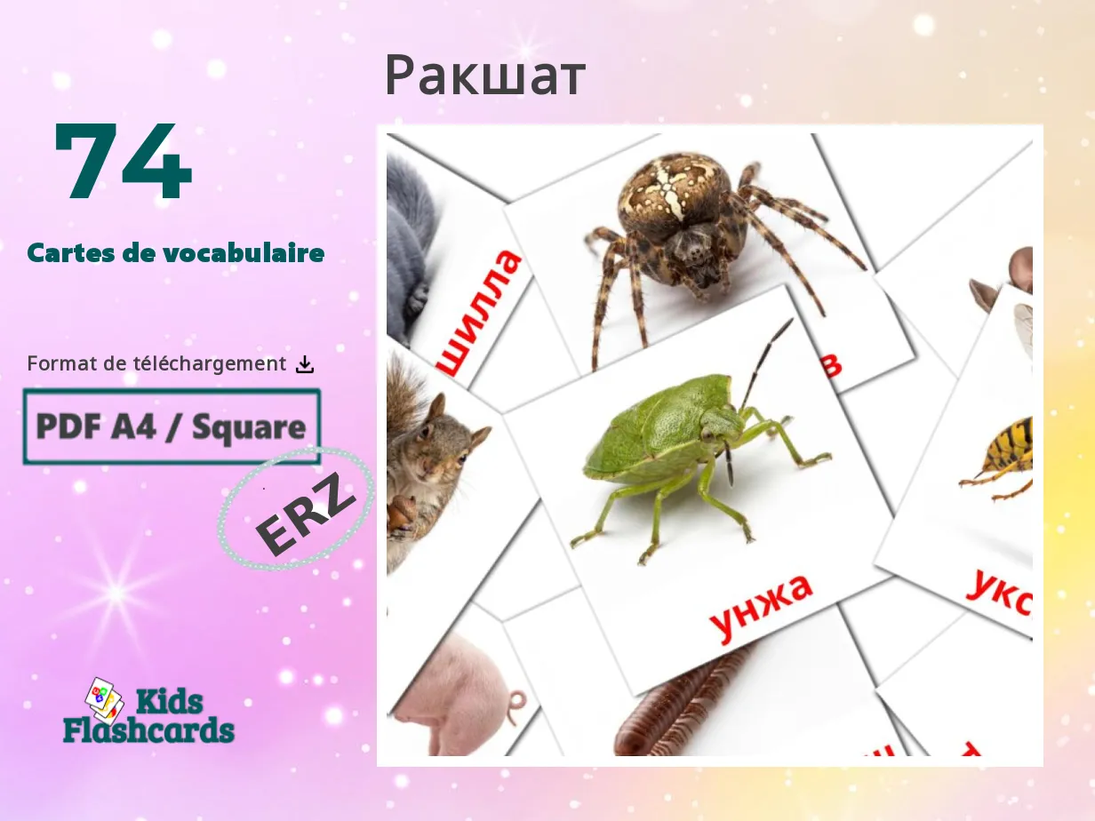 74 Cartes de vocabulaire Animaux GRATUITES à imprimer | PDF ...