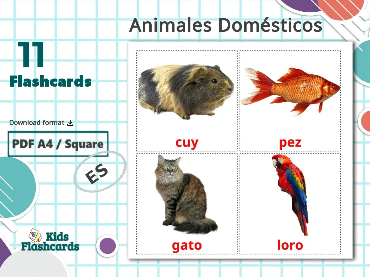 11 Printable Domestic animals Flashcards in Spanish (Free PDF)