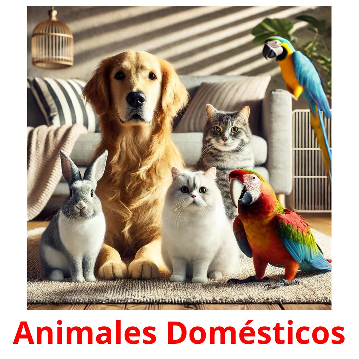 141 Tarjetas Didacticas de Animales para Imprimir GRATIS en Español | PDFs
