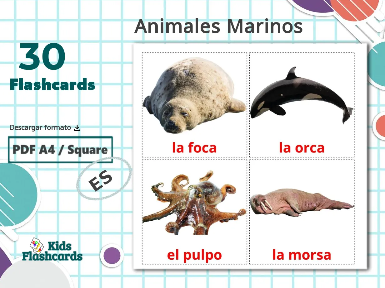 30 Tarjetas de Aprendizaje de Animales Marinos GRATIS en PDF | Imágenes ...