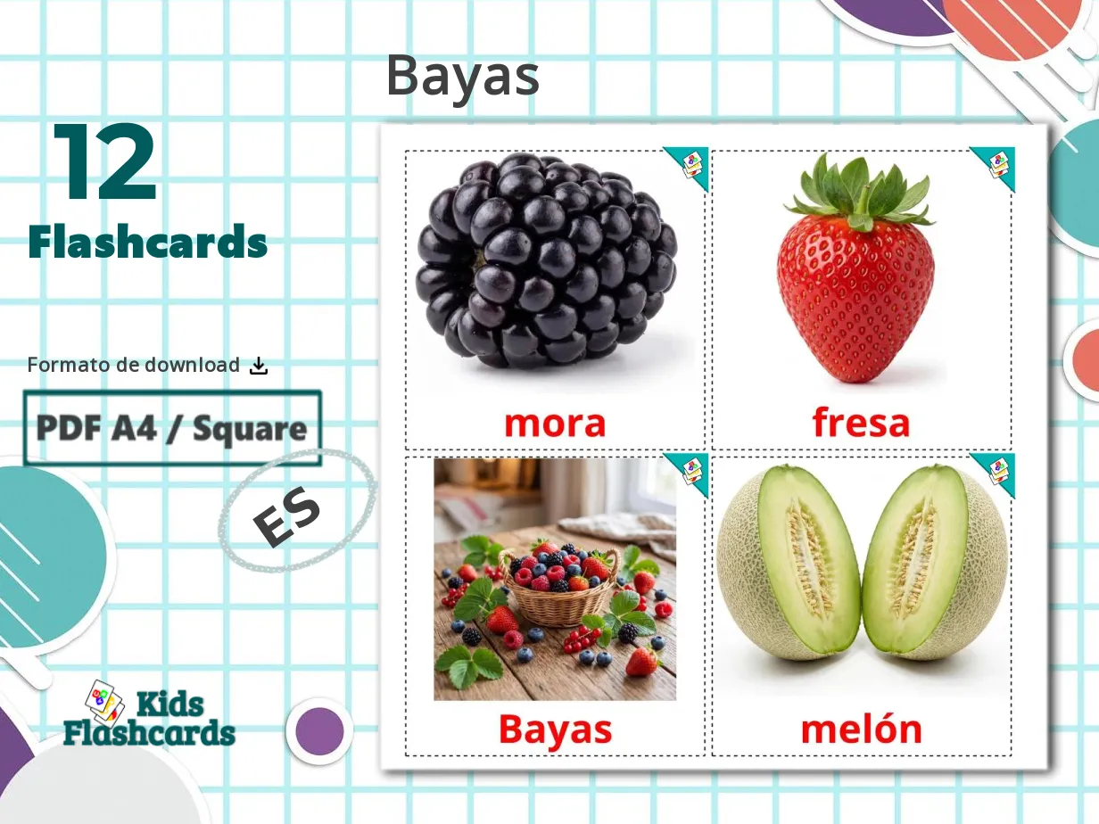 12 Cartões linguagem de Bagas GRÁTIS em 4 formatos PDF | Espanhol Pictures