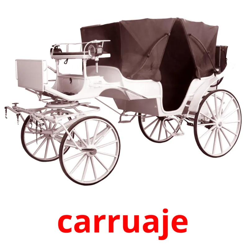 27 FREE Land transport Flashcards | PDF | Spanish Words
