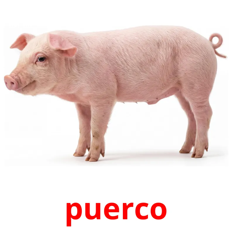 15 Tarjetas de Aprendizaje de Animales en la Granja GRATIS en PDF ...