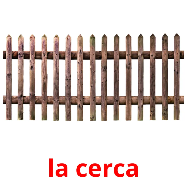 18 FREE Garden Flashcards | PDF | Spanish Words