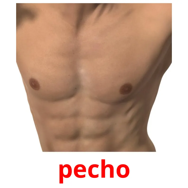 26 Tarjetas de Aprendizaje de Partes del Cuerpo GRATIS en PDF ...