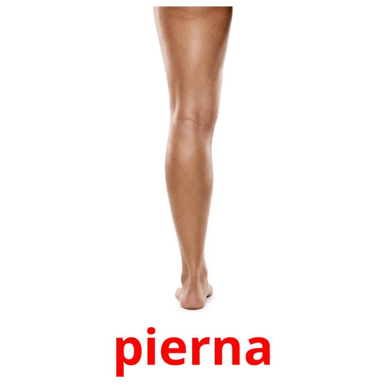 26 Tarjetas de Aprendizaje de Partes del Cuerpo GRATIS en PDF ...