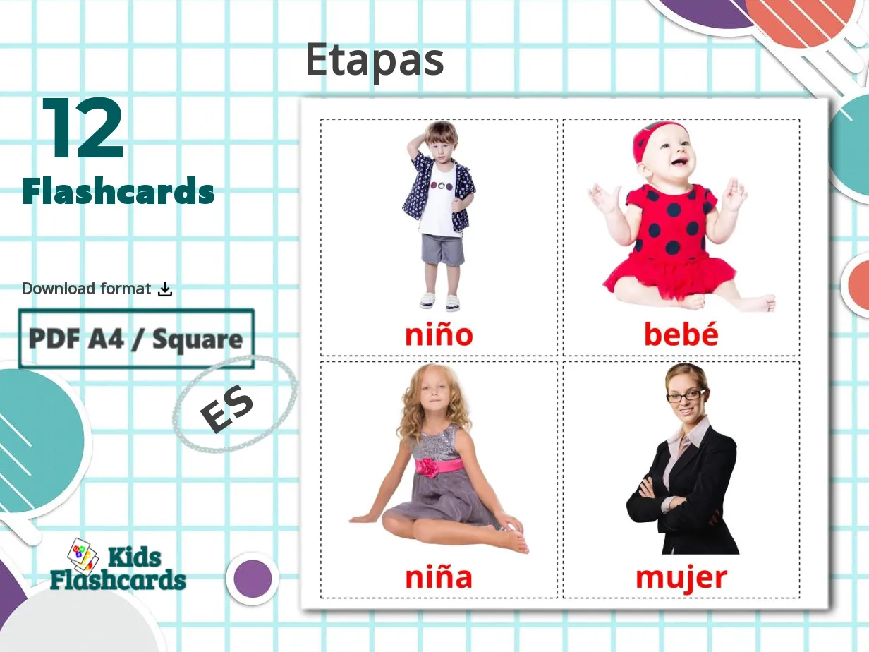 12 Printable Stages Flashcards in Spanish (Free PDF)