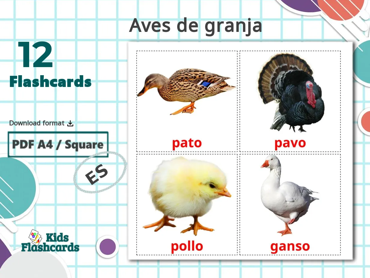 12 Printable Farm birds Flashcards in Spanish (Free PDF)