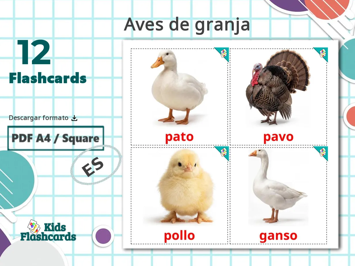 12 Tarjetas de Aprendizaje de Aves de granja GRATIS en PDF | Imágenes ...