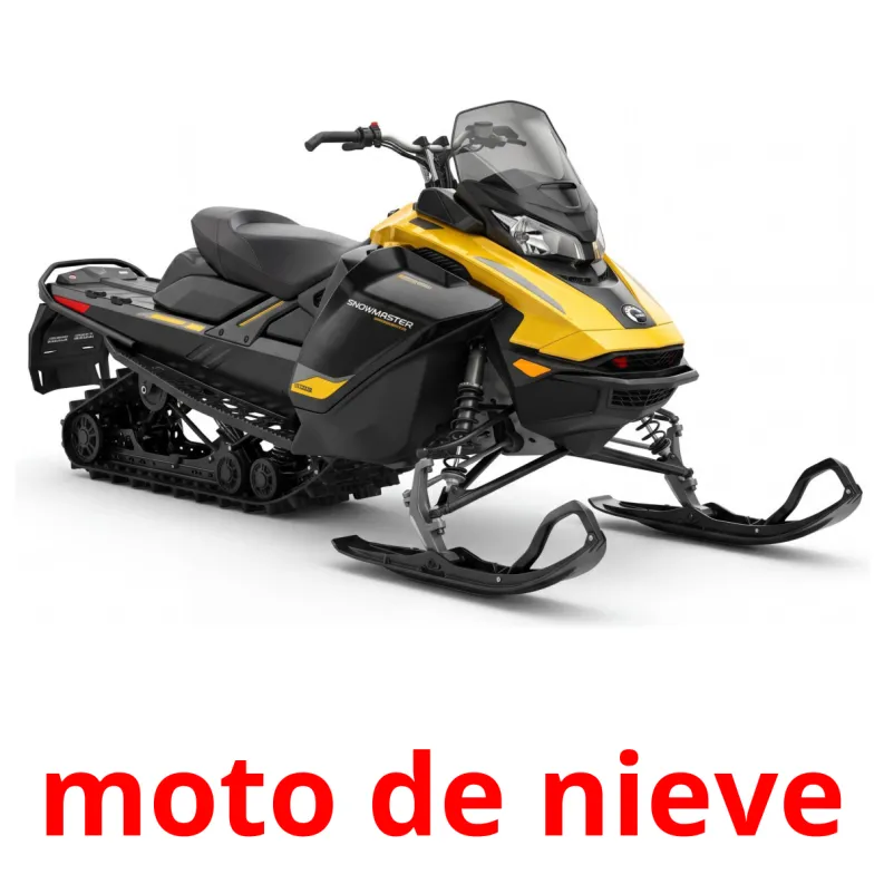 12 FREE Motorcycles Flashcards | PDF | Spanish Words