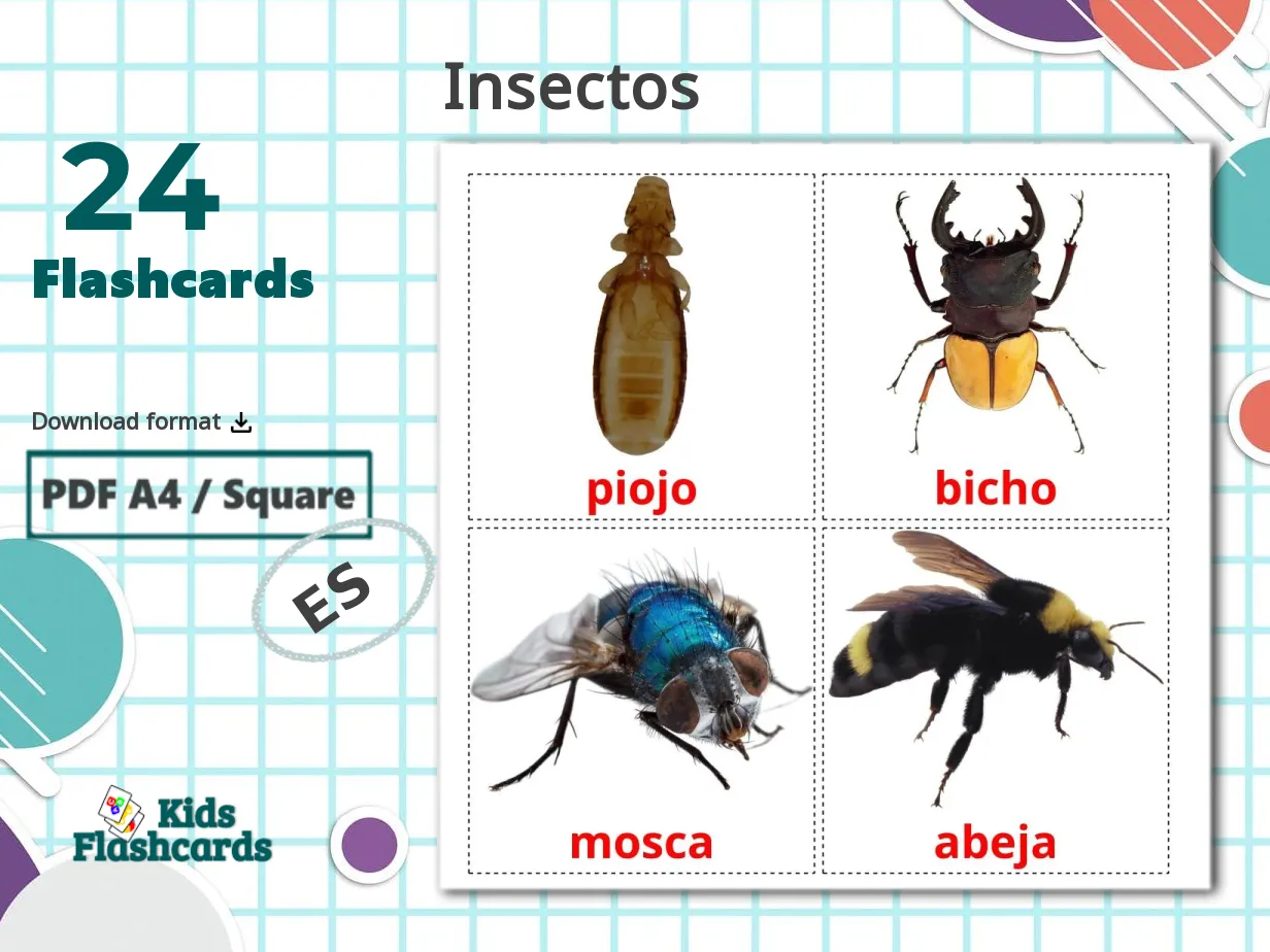 24 Printable Insects Flashcards in Spanish (Free PDF)