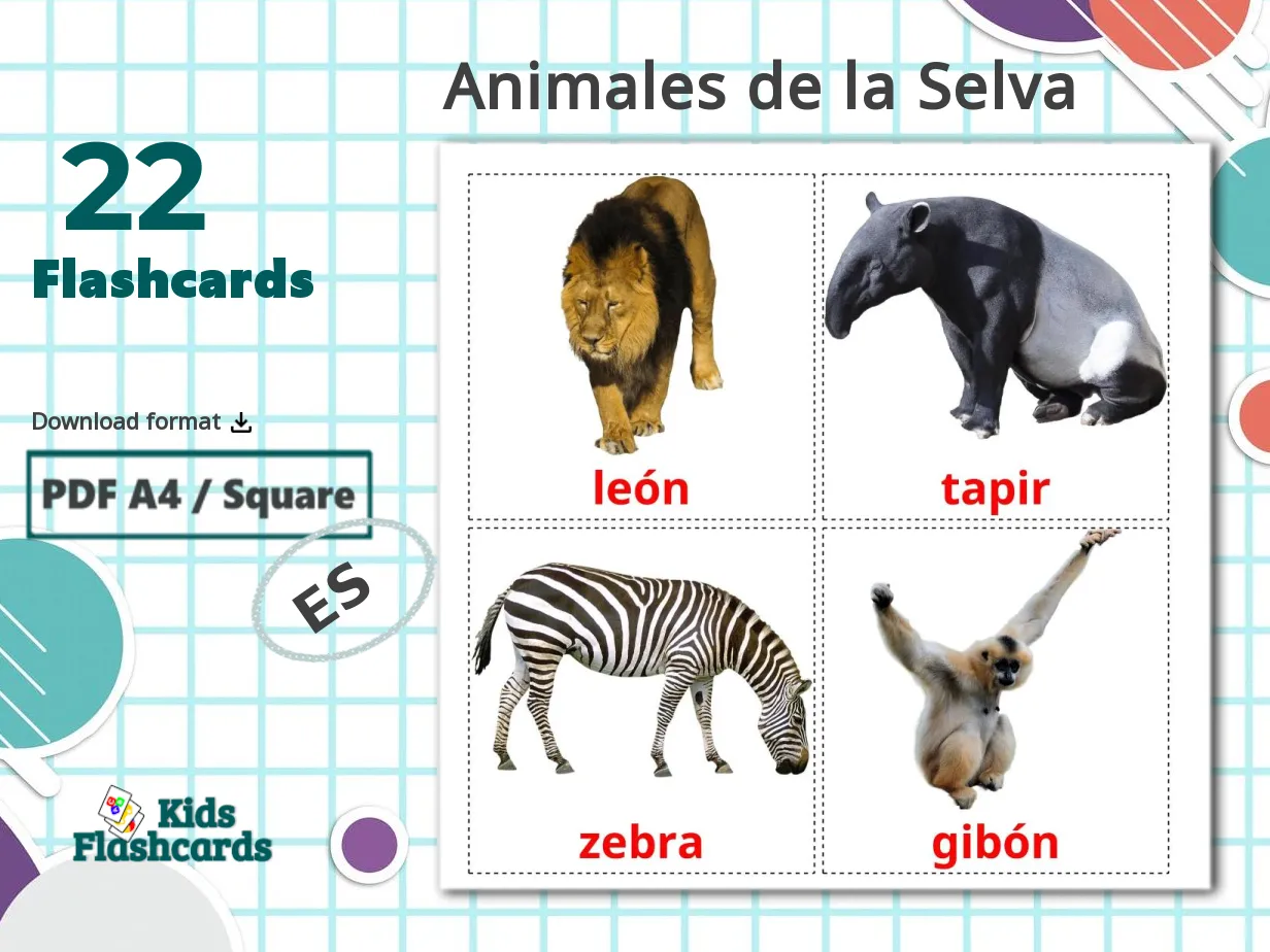 22 Printable Jungle animals Flashcards in Spanish (Free PDF)