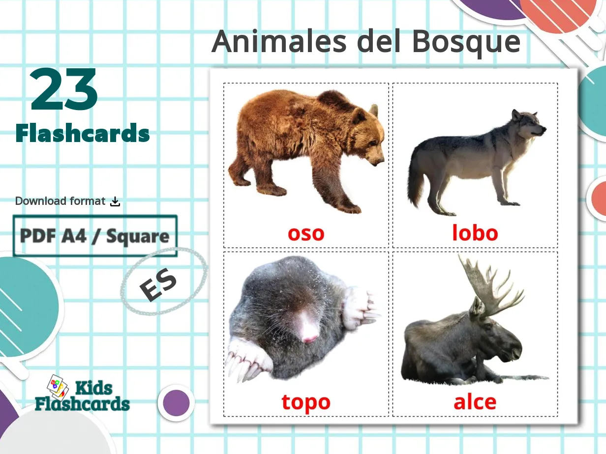 23 Printable Forest animals Flashcards in Spanish (Free PDF)