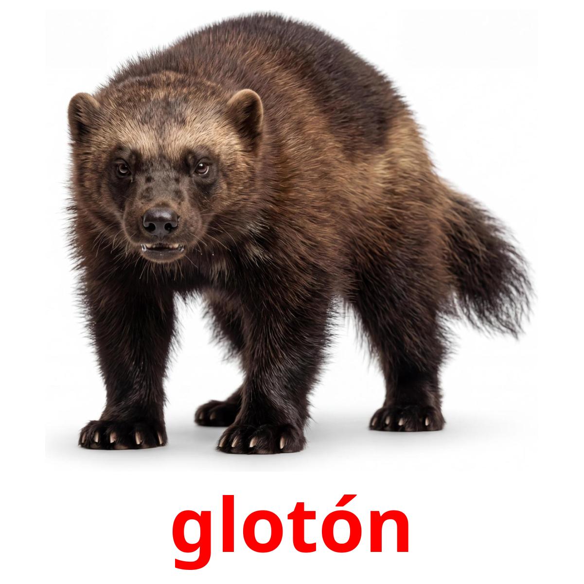 23 Printable Forest animals Flashcards in Spanish (Free PDF)