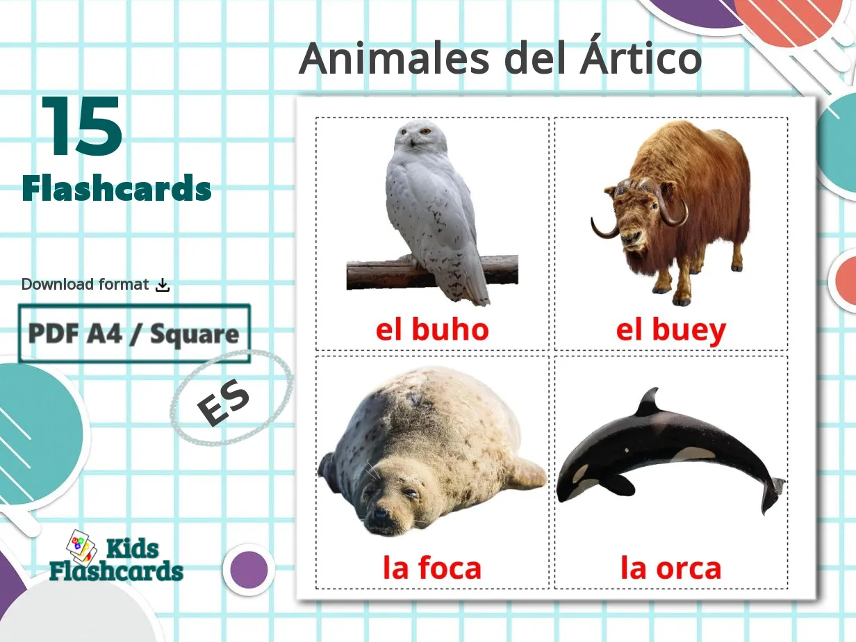 15 Printable Arctic animals Flashcards in Spanish (Free PDF)