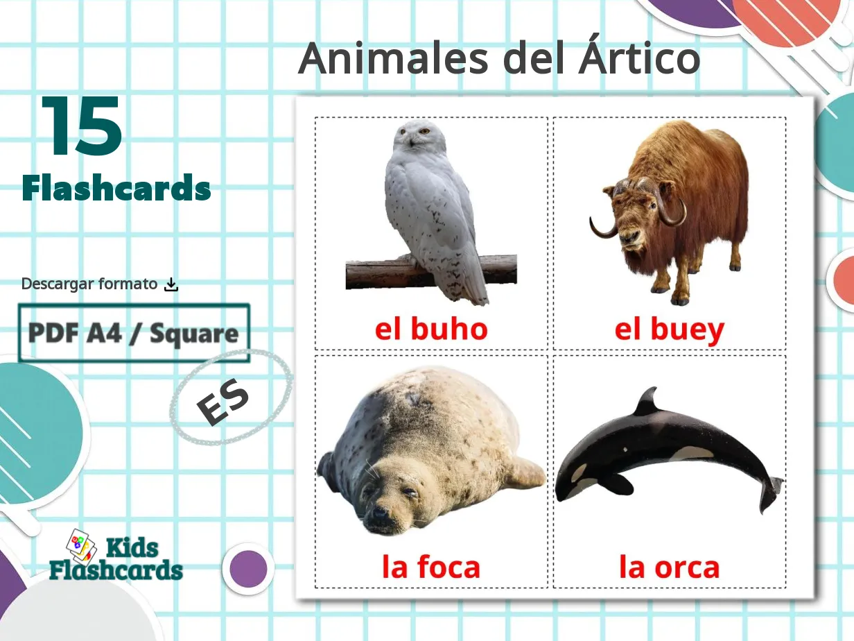 15 Tarjetas de Aprendizaje de Animales del Ártico GRATIS en PDF ...