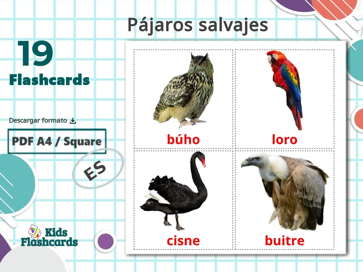 19 Tarjetas de Aprendizaje de Pájaros salvajes GRATIS en PDF | Imágenes ...