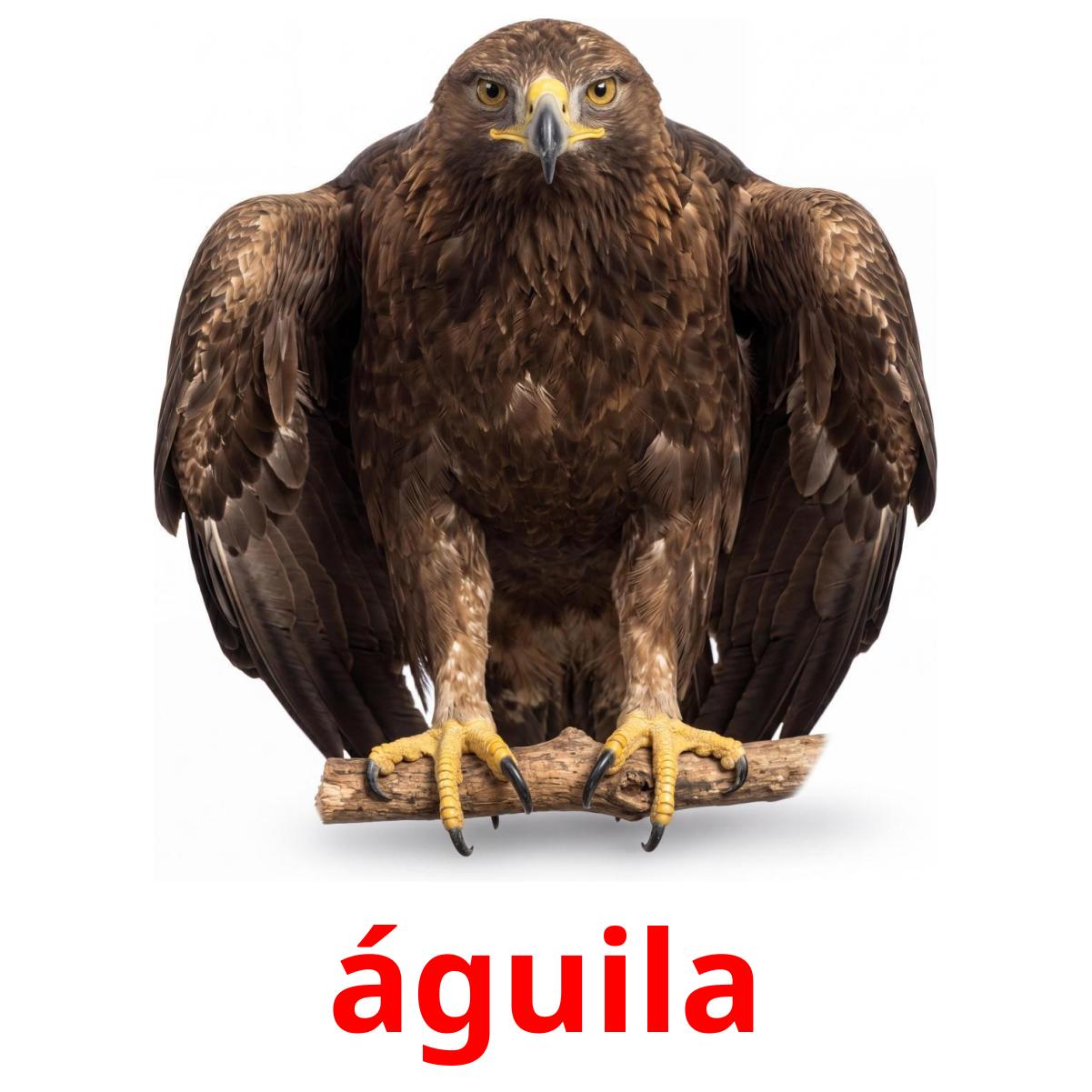19 Printable Wild birds Flashcards in Spanish (Free PDF)