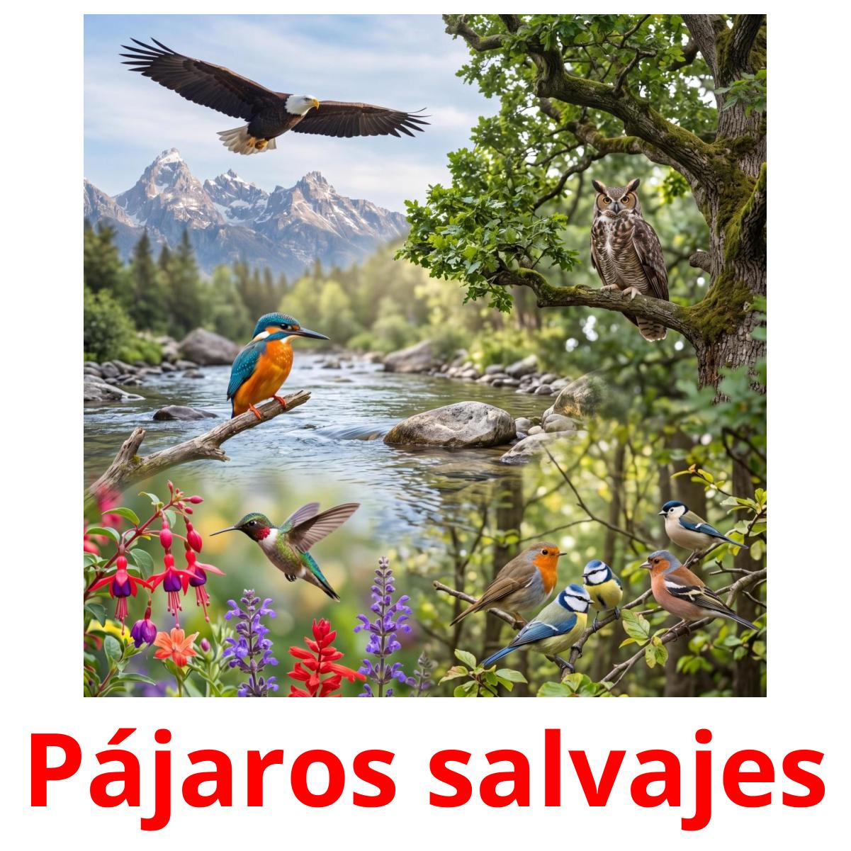 19 Printable Wild birds Flashcards in Spanish (Free PDF)