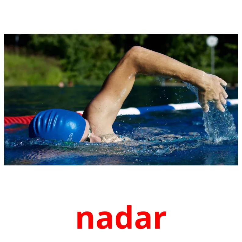 19 Tarjetas de Aprendizaje de Verbos de movimiento GRATIS en PDF ...