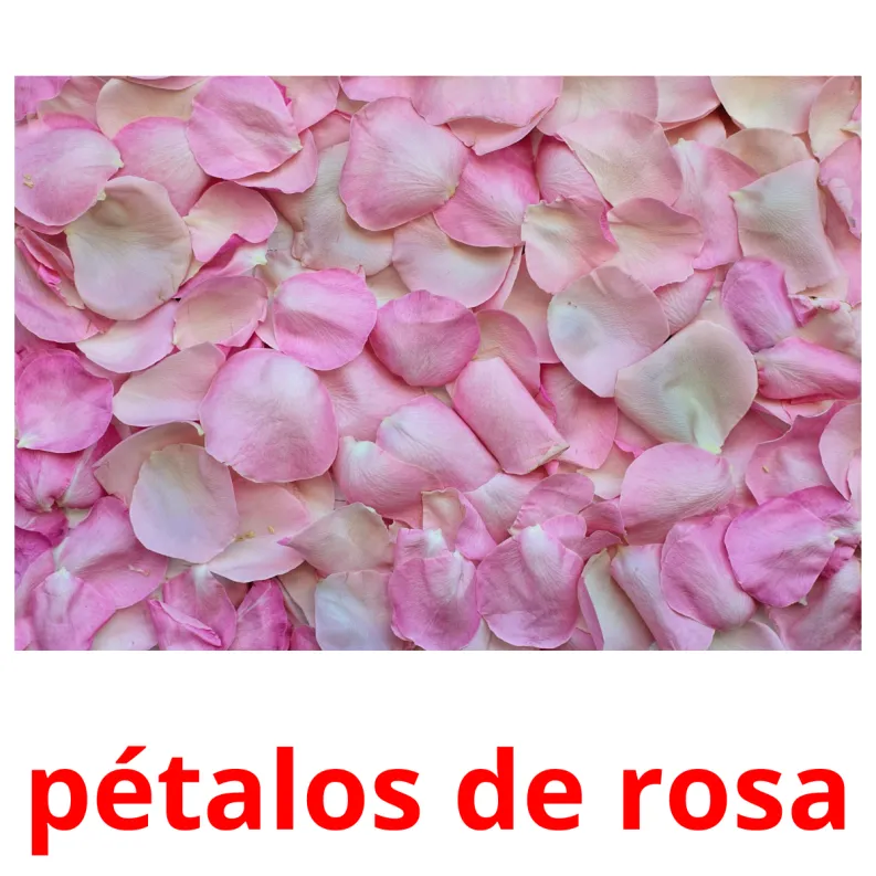 18 FREE Valentine's Day Flashcards | PDF | Spanish Words