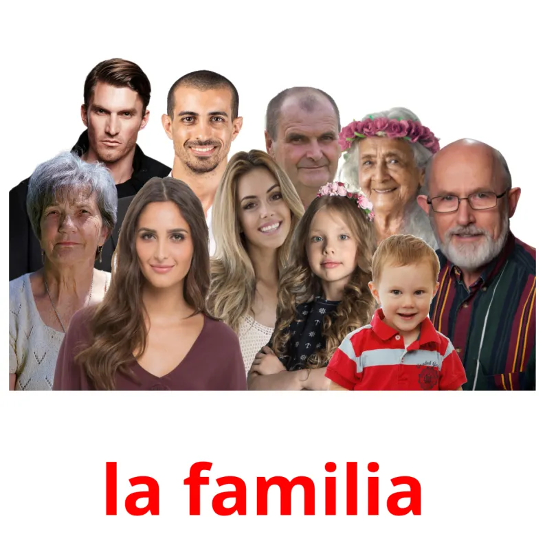 32 FREE Family members Flashcards | PDF | Spanish Words