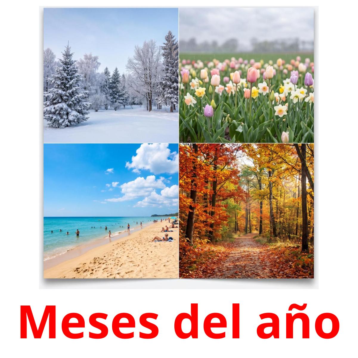 13 Tarjetas de Aprendizaje de Meses del año GRATIS en PDF | Imágenes en ...