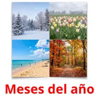 13 Printable Months of the Year Flashcards in Spanish (Free PDF)