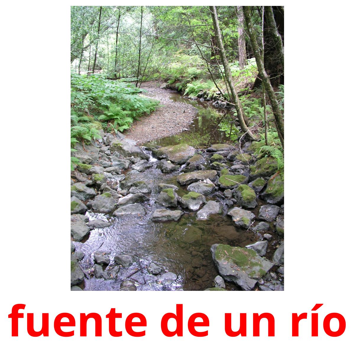 30 Printable Bodies of Water Flashcards in Spanish (Free PDF)