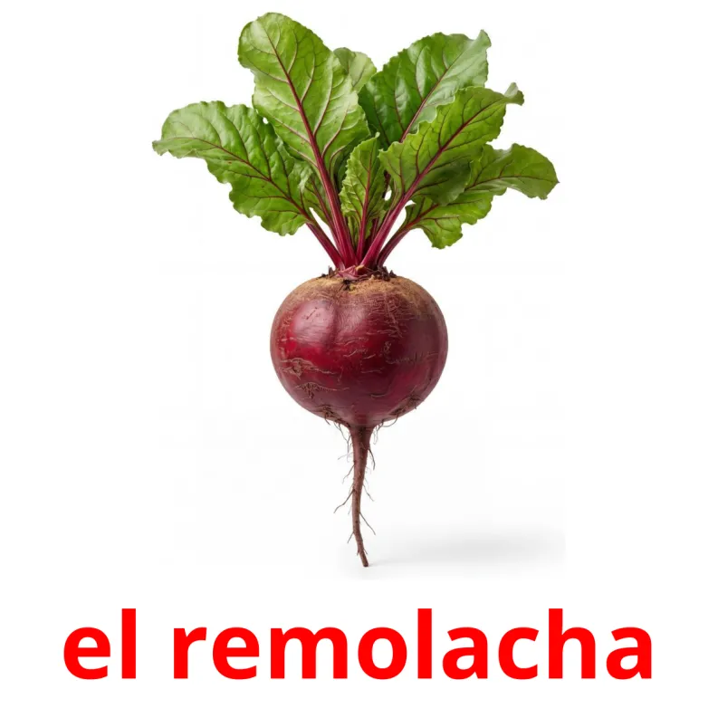 29 Tarjetas de Aprendizaje de Verduras GRATIS en PDF | Imágenes en Español