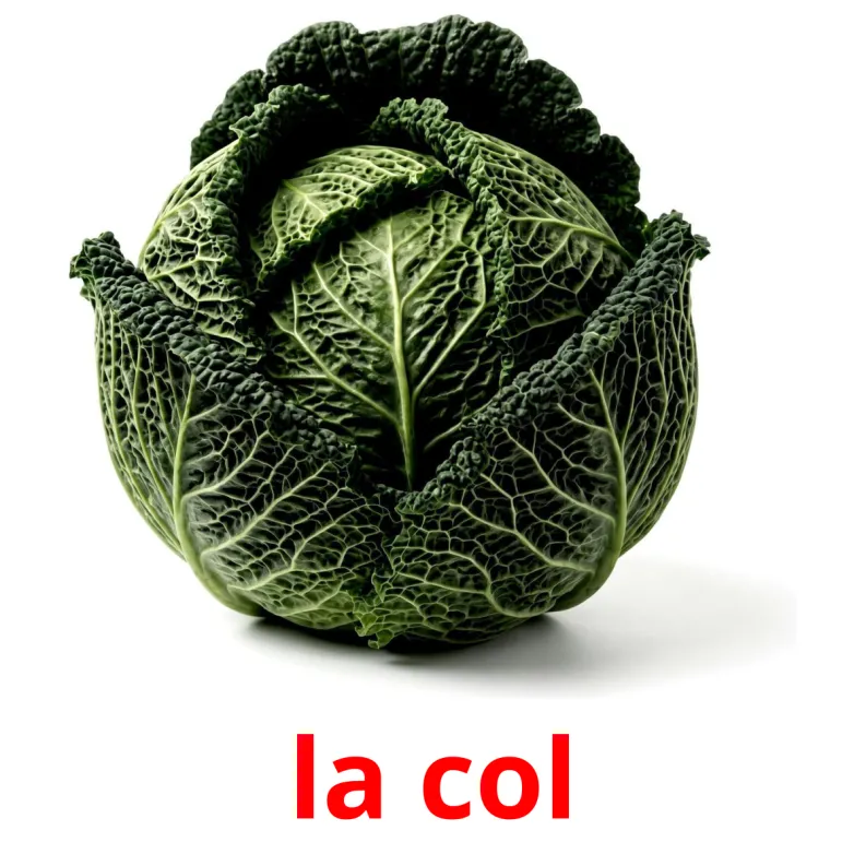 29 FREE Vegetables Flashcards | PDF | Spanish Words