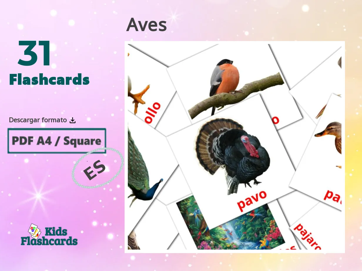 31 Tarjetas Didacticas de Aves para Imprimir GRATIS en Español | PDFs