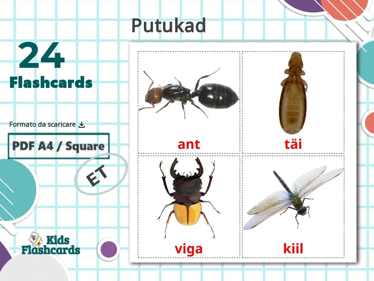 24 Flashcard GRATUITE sui Insetti in 4 Formati PDF | Immagini in Estone