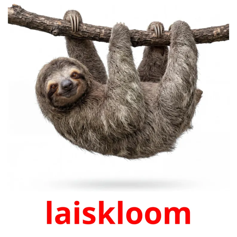 22 FREE Forest animals Flashcards | PDF | Estonian Words