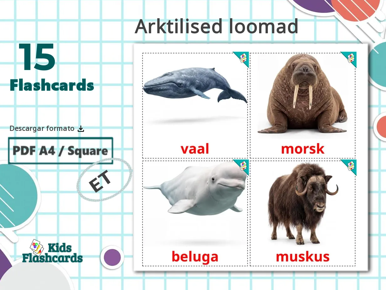 15 Tarjetas de Aprendizaje de Animales del Ártico GRATIS en PDF ...