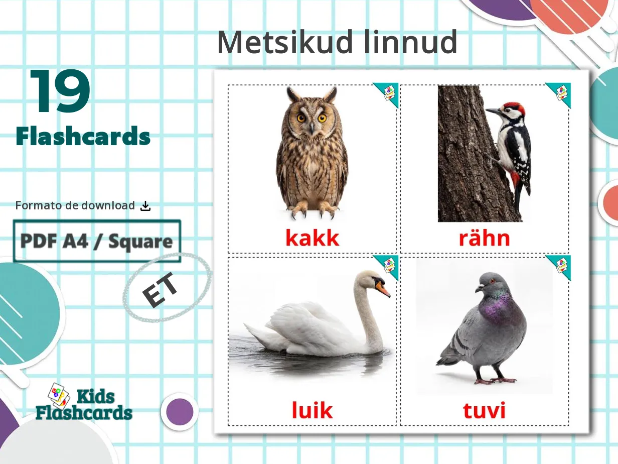 19 Cartões linguagem de Pássaros Selvagens GRÁTIS em 4 formatos PDF ...