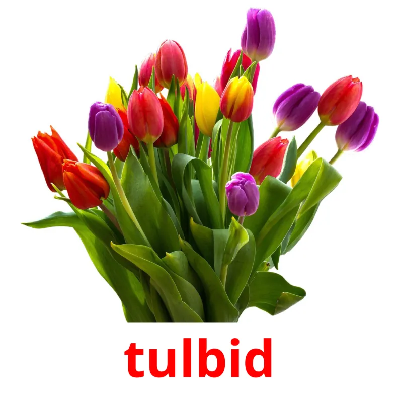 31 Бесплатная Карточка Пасха на Эстонском | PDF