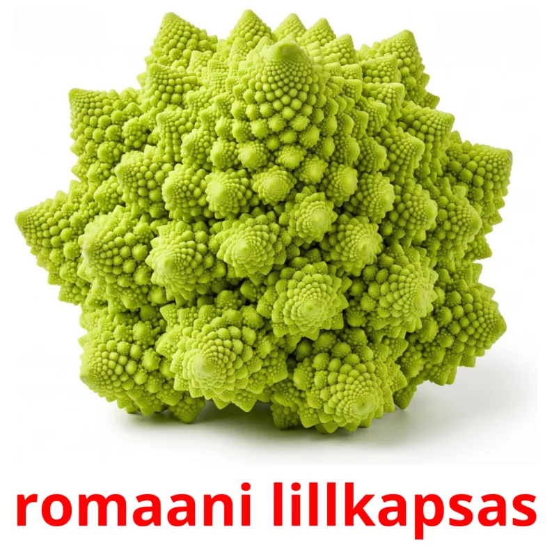29 FREE Vegetables Flashcards | PDF | Estonian Words