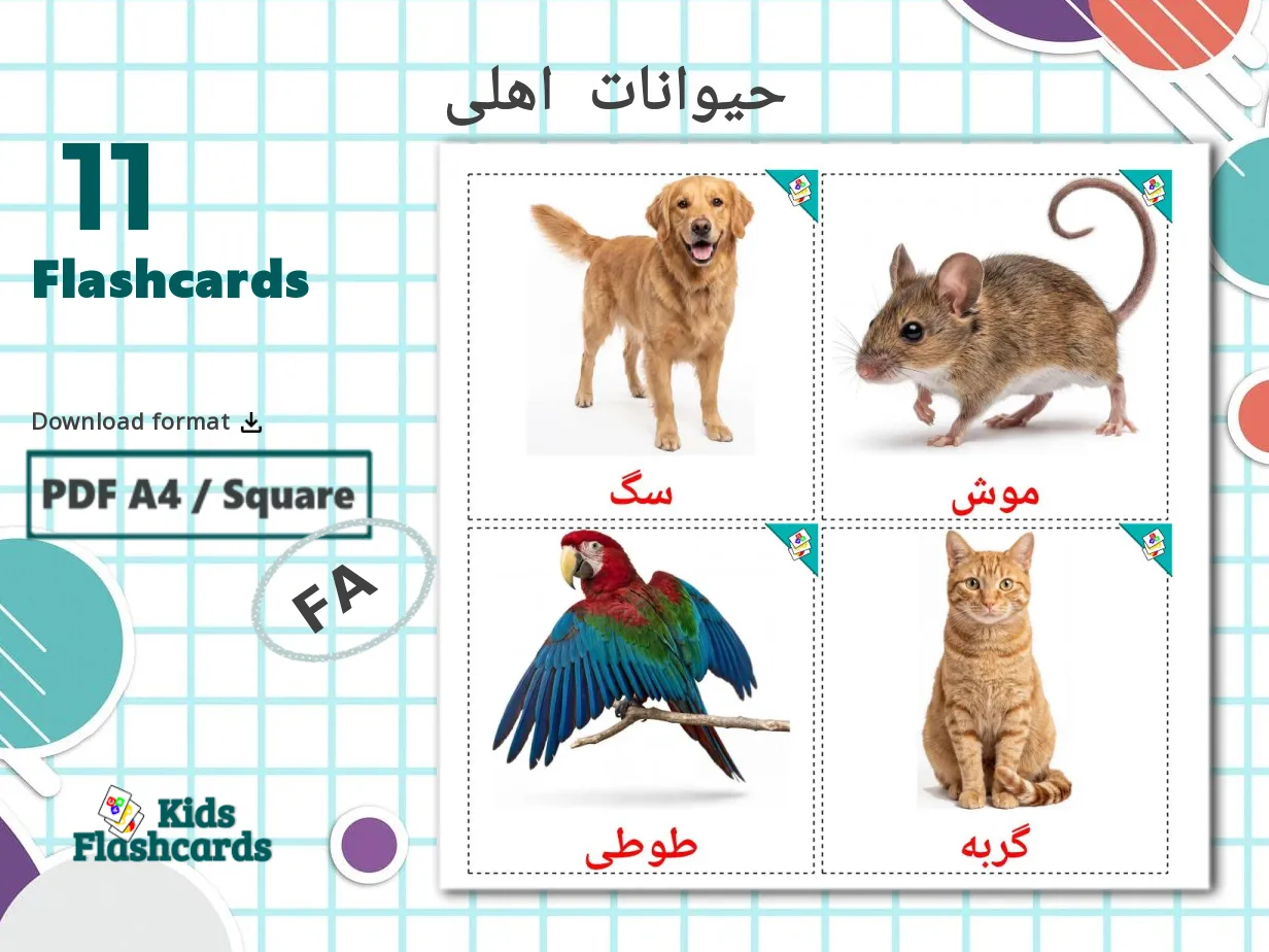 11 Printable Domestic animals Flashcards in Persian (Free PDF)