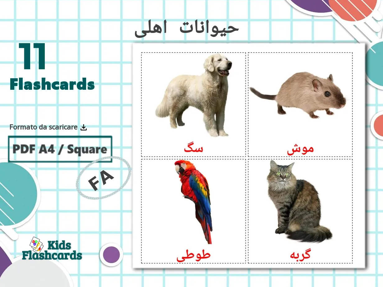 11 Flashcard GRATUITE sui Animali Domestici in 4 Formati PDF | Immagini ...