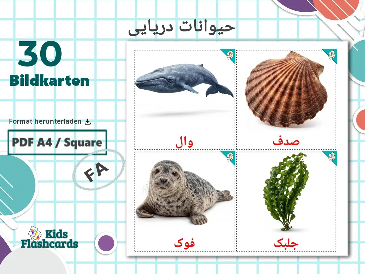 30 Meerestiere Bildkarten in PDF | Persisch Bilder