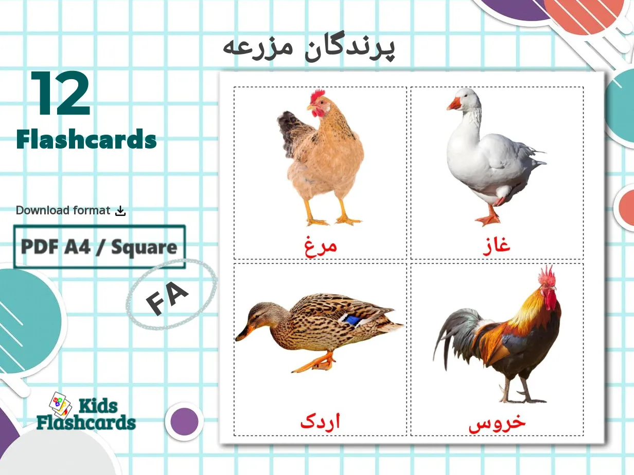 12 Printable Farm birds Flashcards in Persian (Free PDF)