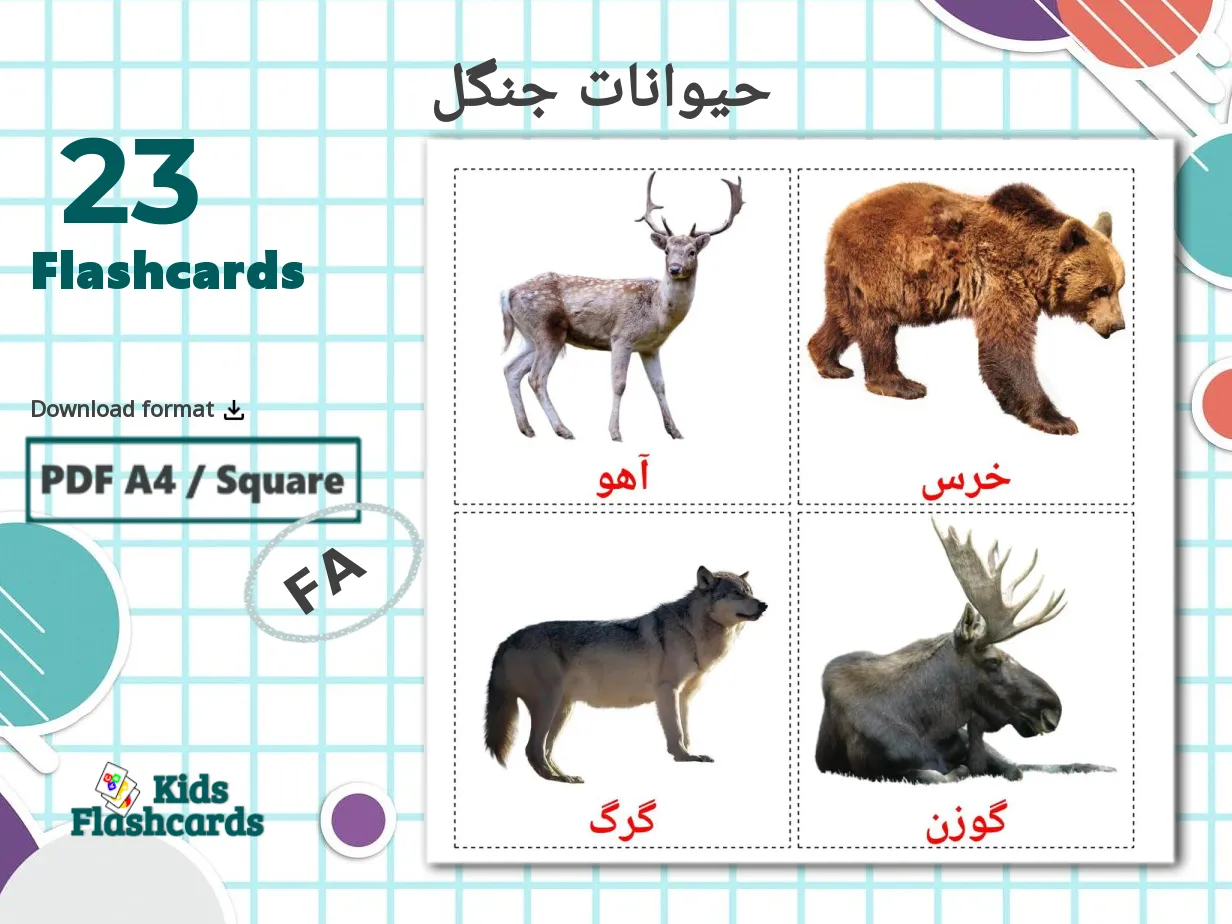 23 Printable Forest animals Flashcards in Persian (Free PDF)