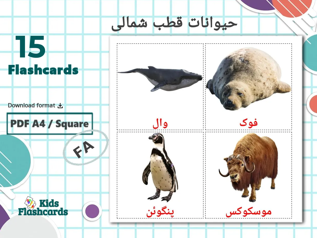15 FREE Arctic animals Flashcards | PDF | Persian Words